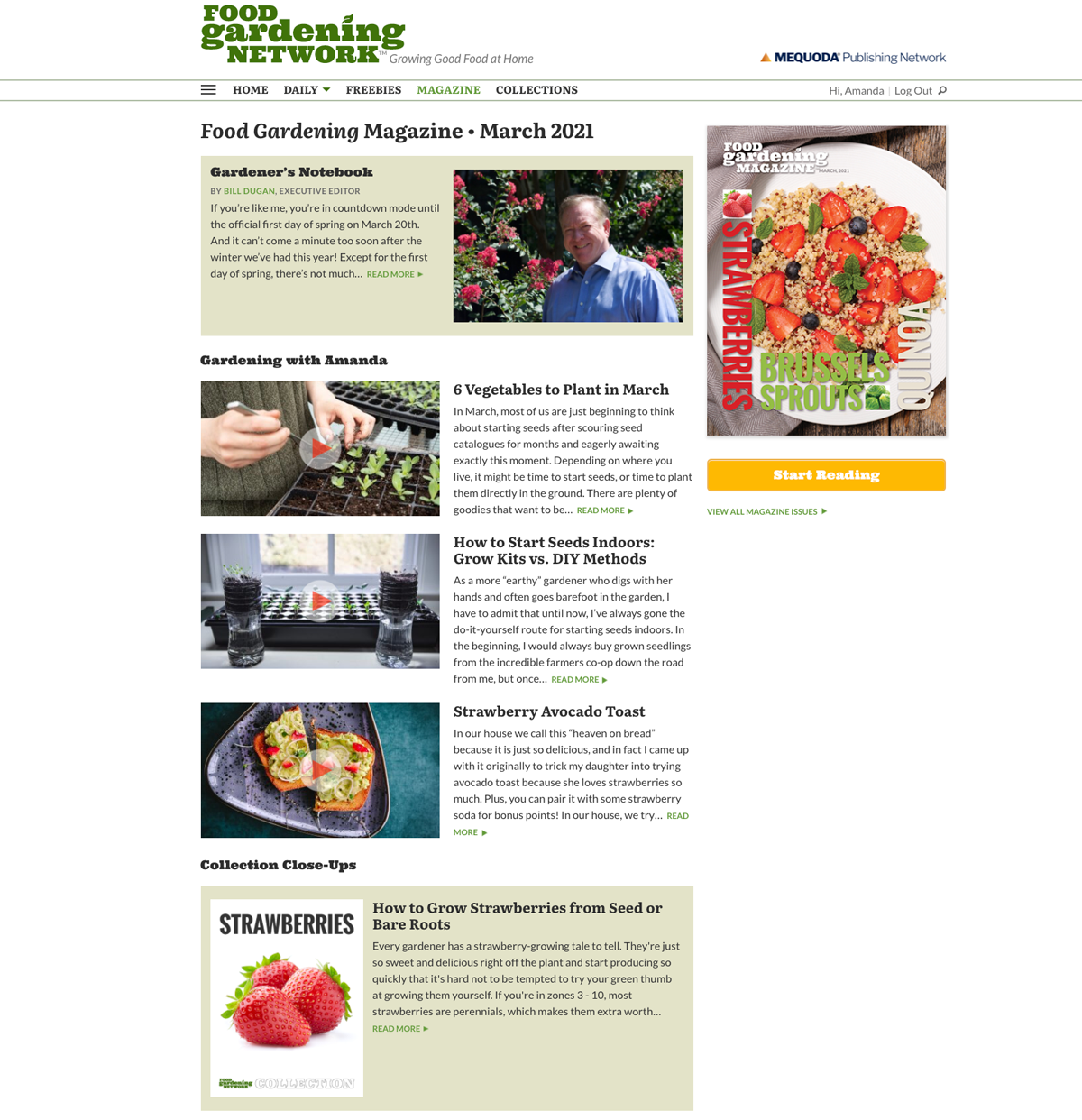 8 Great Web Magazine Libraries We Love - Mequoda Daily